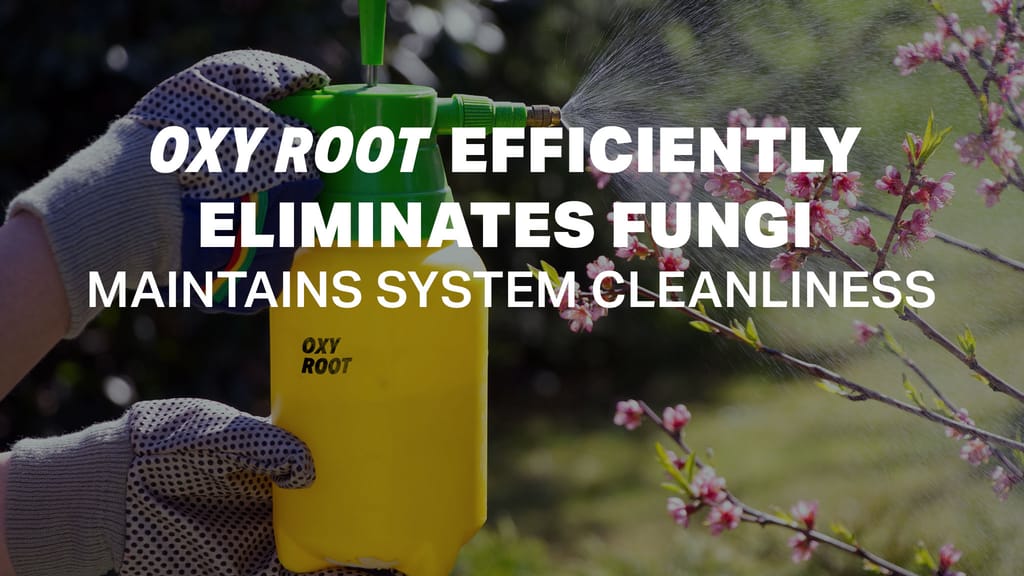 OXY ROOT efficiently eliminates fungi and maintains system cleanliness ...